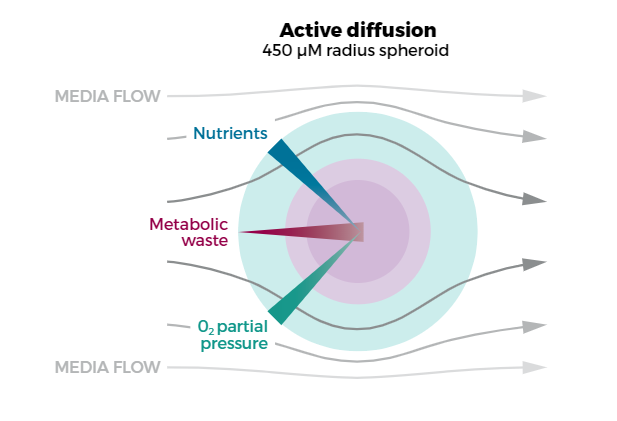 Functional Organoid Growth System (3d cell culture) - Isogen Lifescience