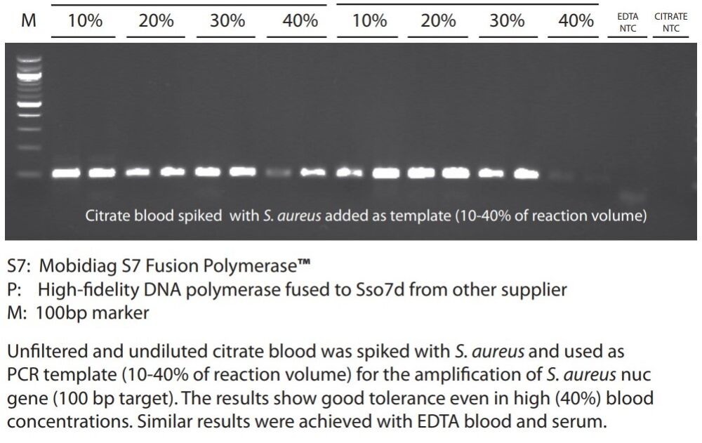 Polymerases - Isogen Lifescience