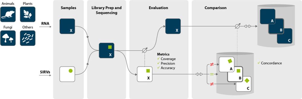 Spike-In RNA Variant Control Mixes (SIRV) - Isogen Lifescience