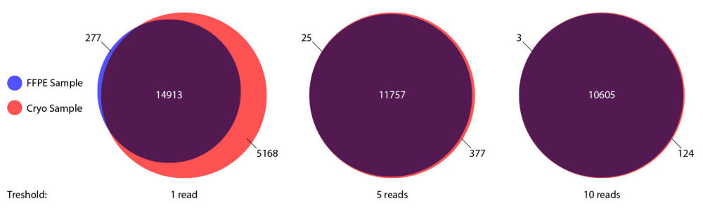 Expression Profiling Kits - Isogen Lifescience