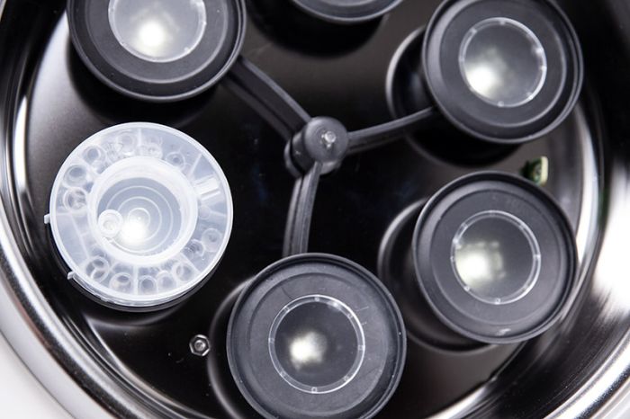 3D Cell Culture: Functional Organoid Growth System - Isogen Lifescience