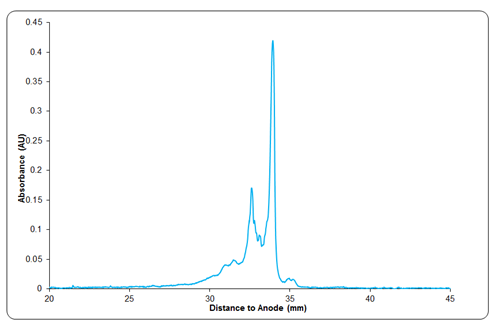 CEInfinite AESlytes Carrier Ampholytes - Isogen Lifescience